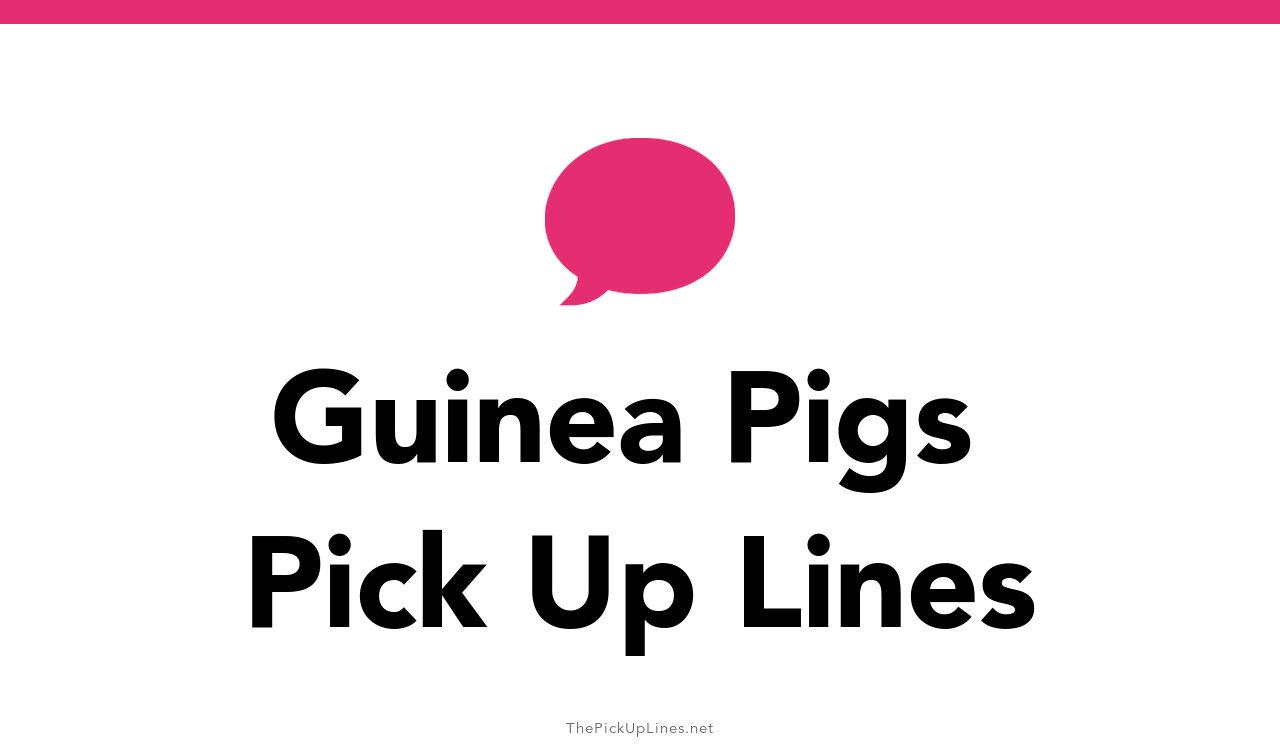 18+ Guinea Pigs Pick Up Lines And Rizz