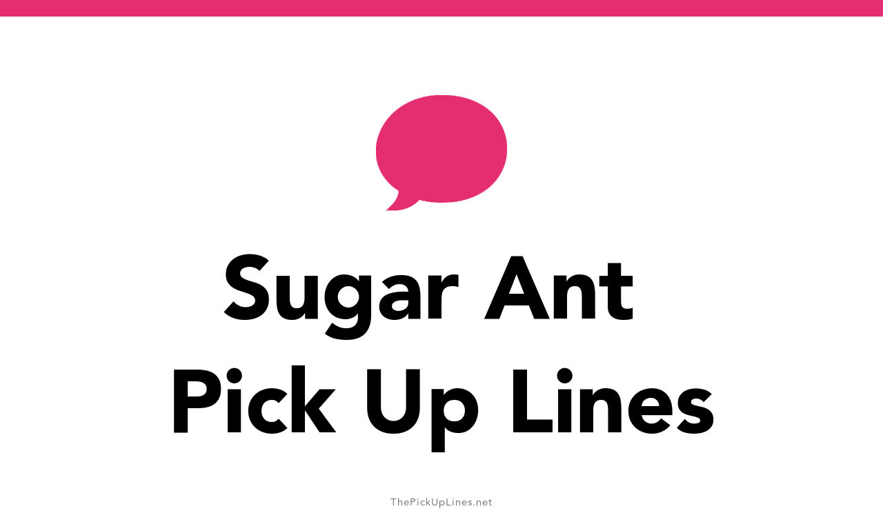 1+ Sugar Ant Pick Up Lines And Rizz