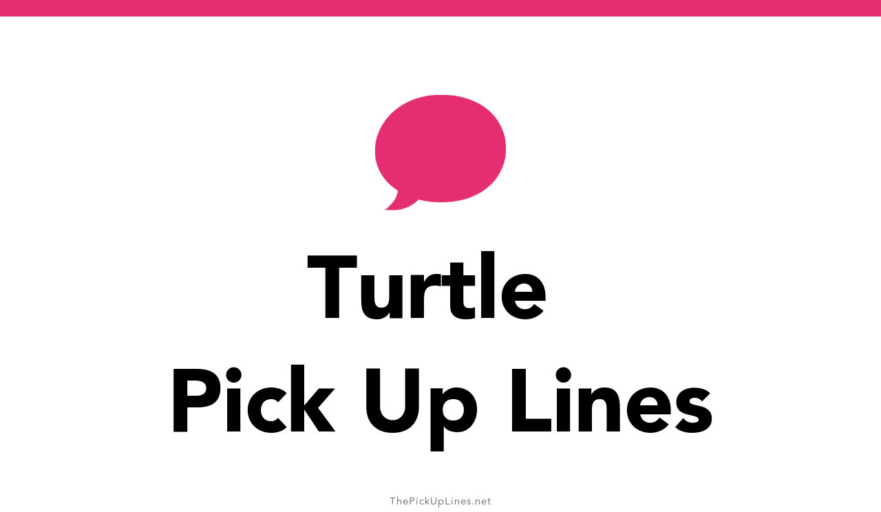 73+ Turtle Pick Up Lines And Rizz